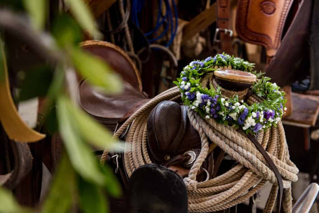 Our Story | Parker Ranch